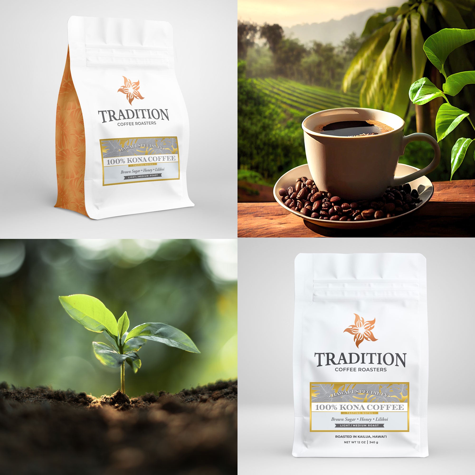 TRADITION COFFEE ROASTERS – Tradition Coffee Roasters