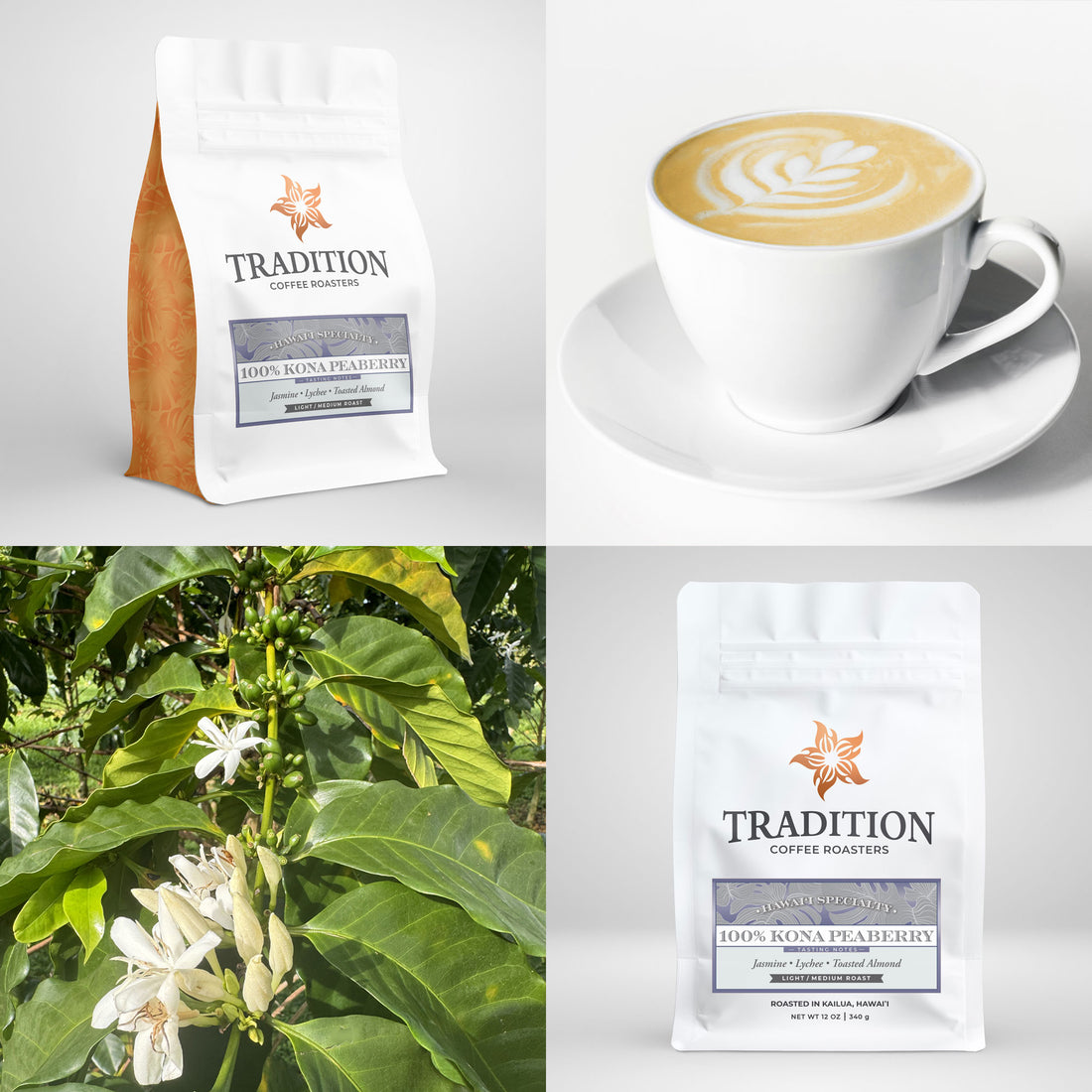 TRADITION COFFEE ROASTERS – Tradition Coffee Roasters